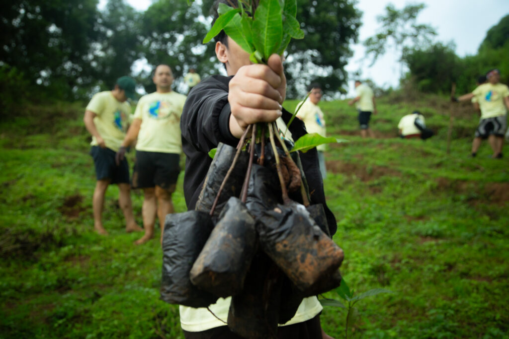 2024 Tree Planting Activity - PNOC